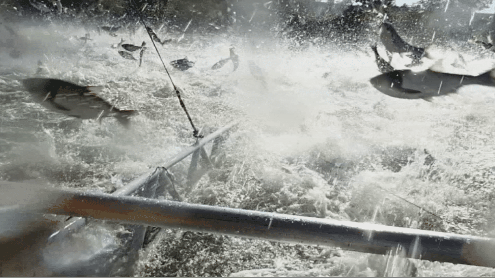 Asian Carp Electrofishing Boats - Oquawka Boats